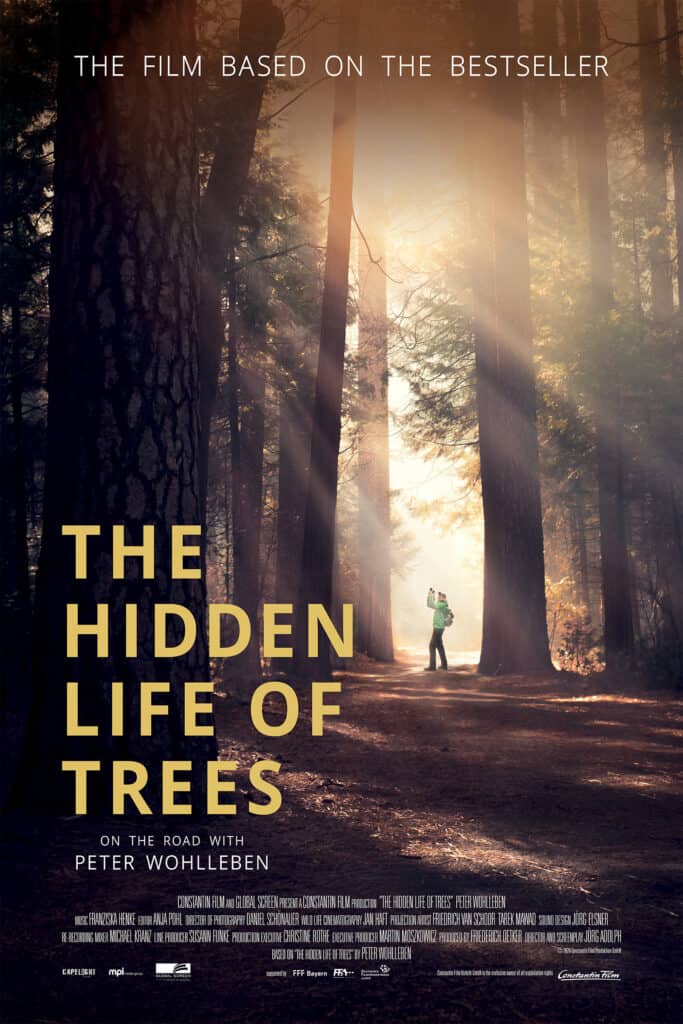 The Hidden Life Of Trees | 2020 | Docu - Den Dollywood